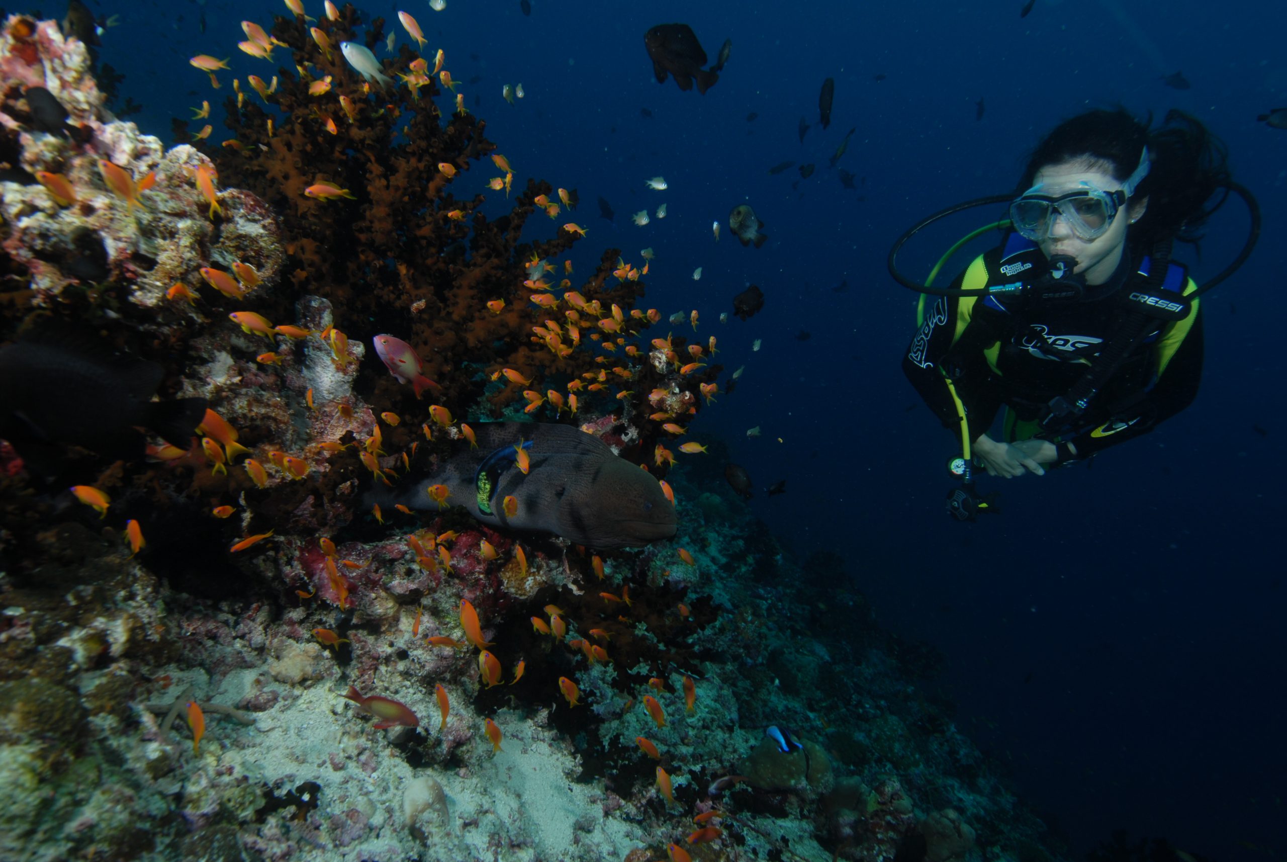 Neutral Buoyancy My Personal Journey - Dive Butler International