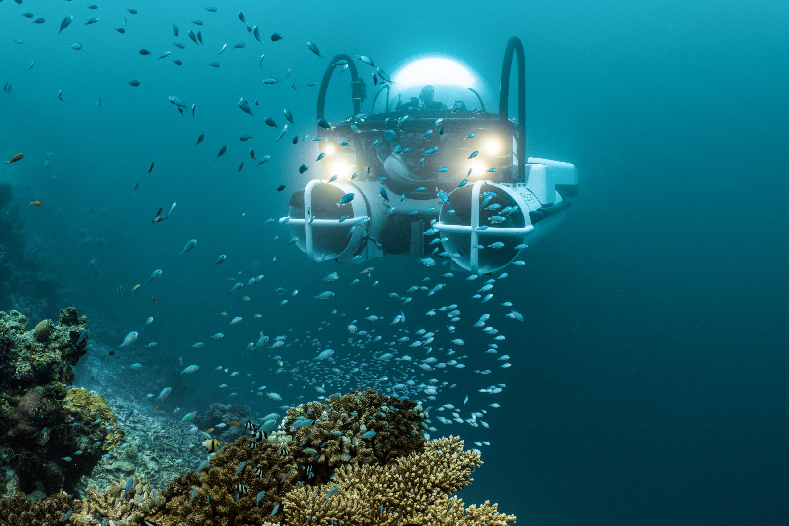 Dive into the Deep Blue – Exclusive November Offer at Patina Maldives ...